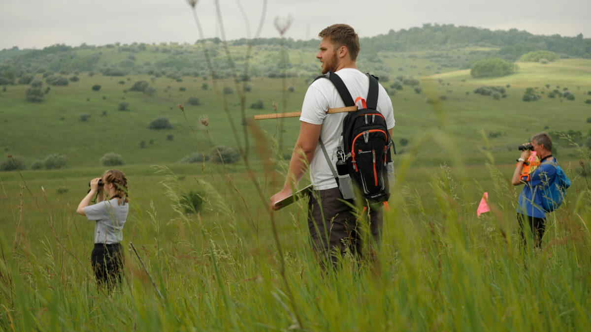 10,000 Acres, the story about the land that became The Wilds animal ...