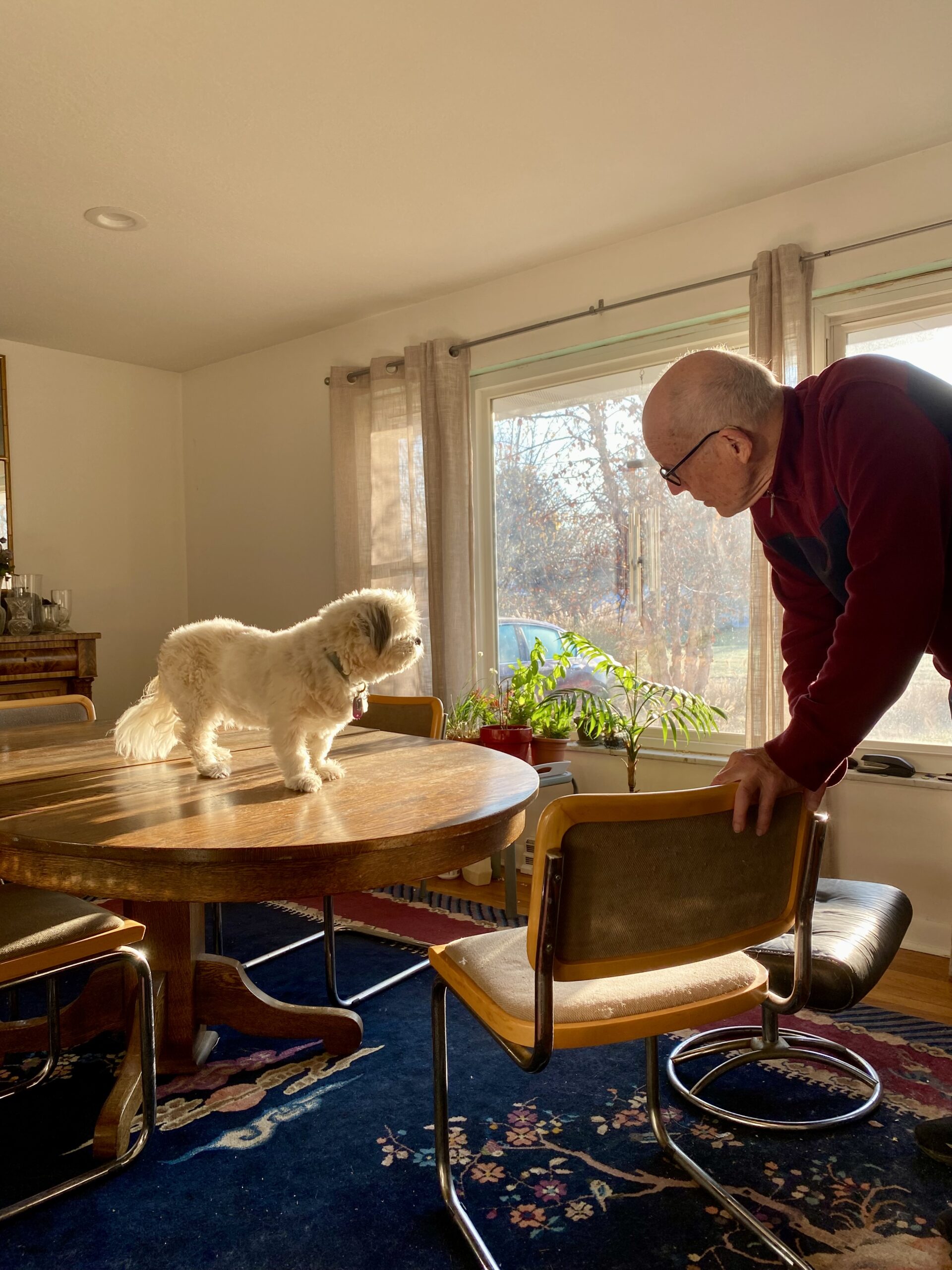 Jerry Griffin's bread pudding: A recipe for harm reduction - The ...