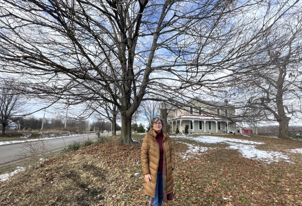 Persistence and a thoughtful argument might save mature trees seemingly ...