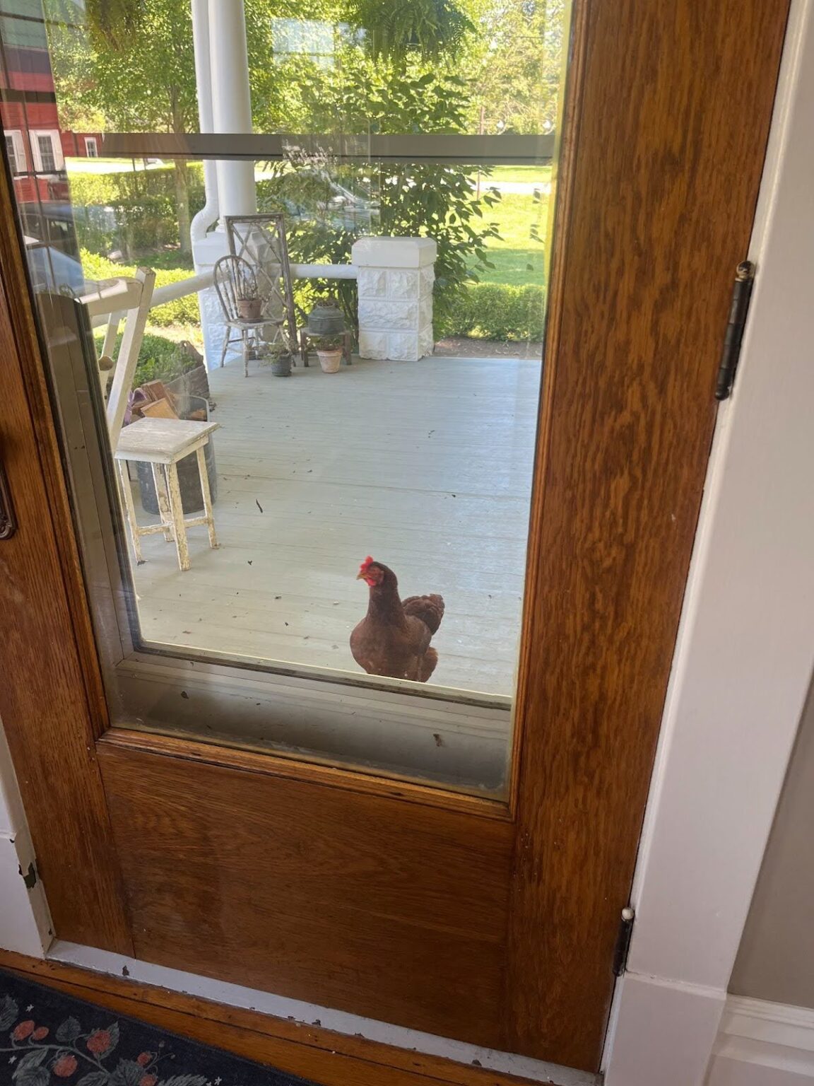 Bright Spot: An unexpected visitor - The Reporting Project - Covering Licking County, Ohio